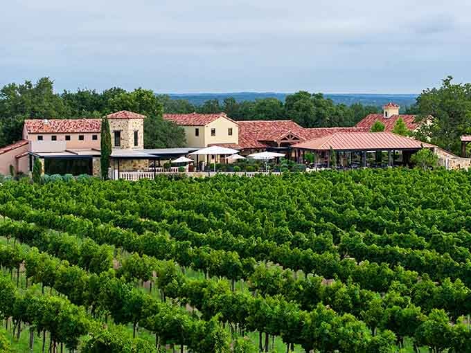 This winery estate sits among the vines like it's been waiting for you to arrive with a wine glass.