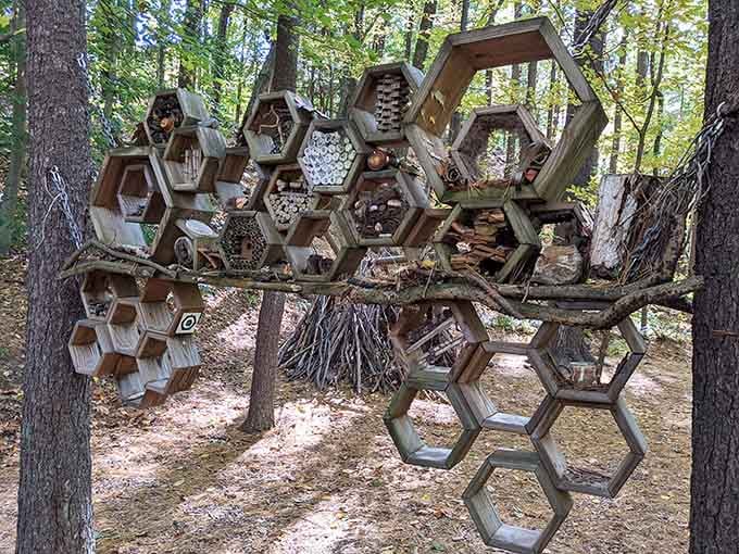 This honeycomb structure isn't just Instagram-worthy, it's a clever lesson in pollinator habitats that actually makes learning fun.