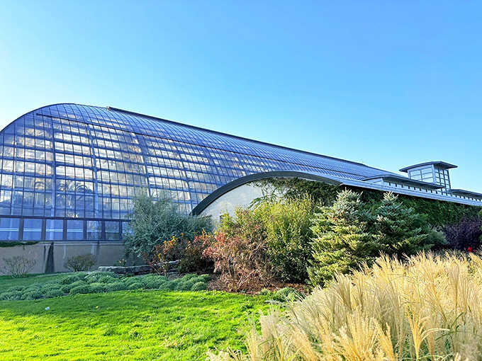 From the outside, this glass giant looks like a spaceship landed in Chicago and decided to grow roots.