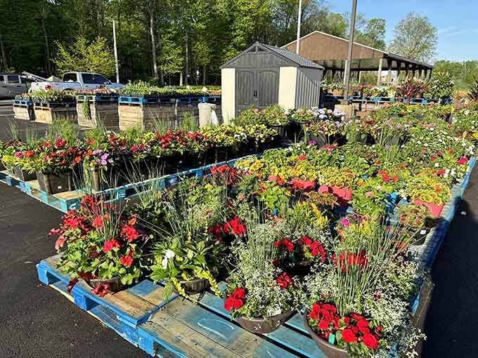 Even the plants here look happier than anywhere else, probably because they know what's growing nearby.
