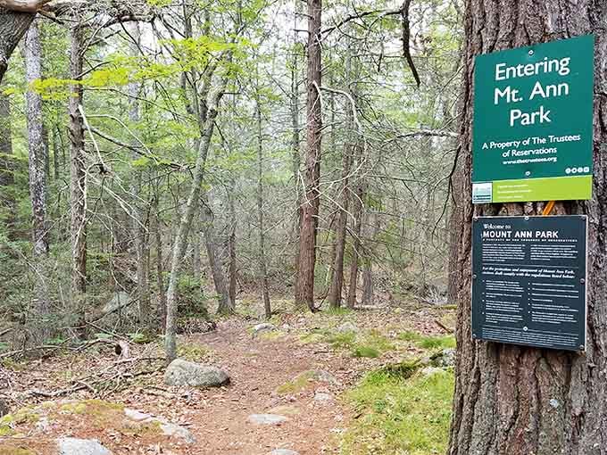 Mount Ann Park trails wind through forests where the only notifications you'll get are from actual birds singing.
