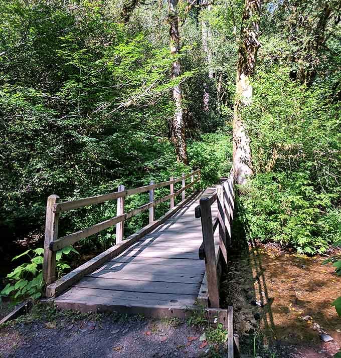 Sturdy bridges cross babbling creeks, proving that infrastructure can be both functional and photogenic in the wilderness.