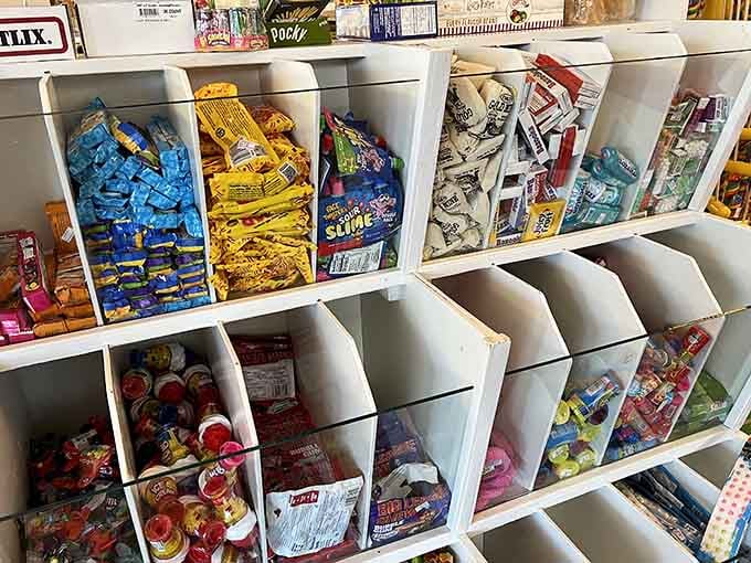 Organized candy bins prove that even chaos can be delicious when properly categorized and labeled for your convenience.