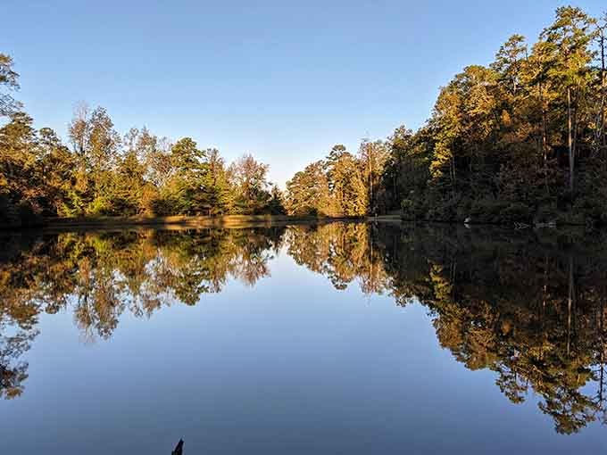 Sherling Lake reflects the trees so perfectly, even your fishing excuses will sound more believable here.