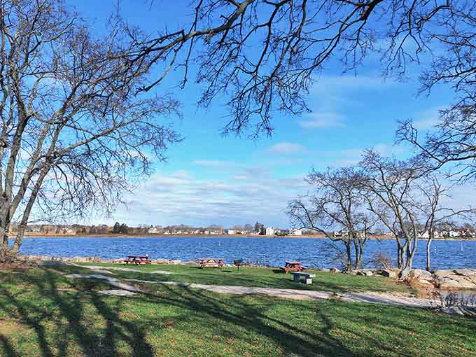 Chaffinch Island Park offers waterfront views that make you forget you left your phone in the car.