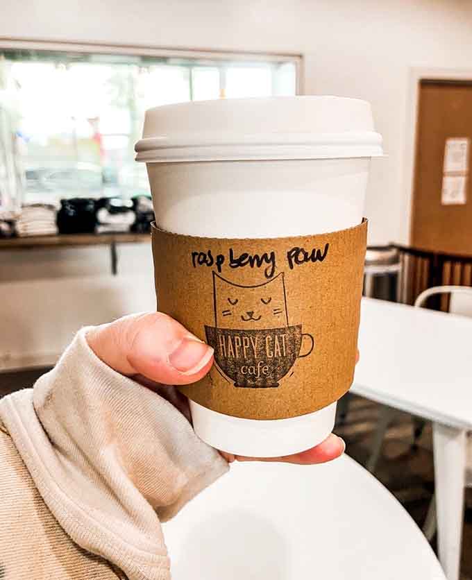 Raspberry Paw Print in hand, you're officially living your best cat cafe life in downtown Grand Rapids.