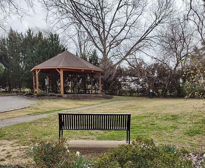 Park benches positioned perfectly for watching the world slow down to a reasonable pace.