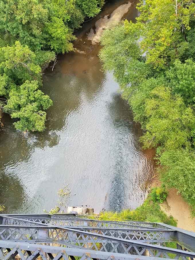 The Appomattox River winds below like nature's own lazy highway, proving that sometimes the best views require a little altitude.