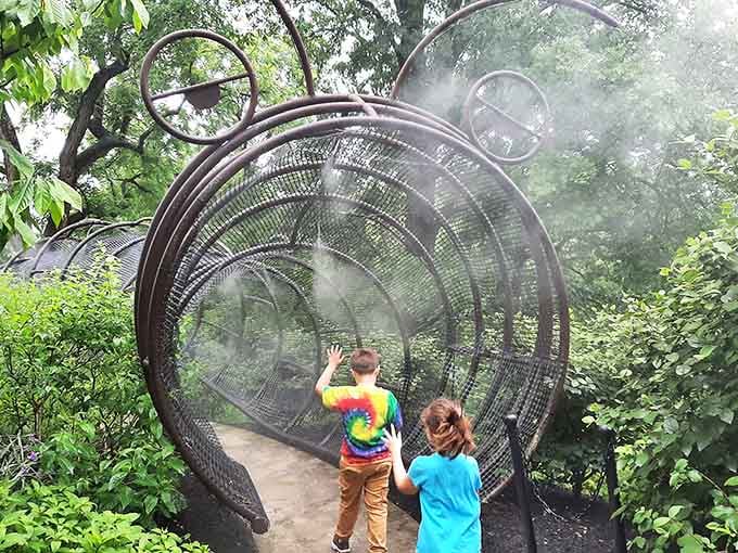 Walking through a misty tunnel feels like entering Narnia, except warmer and with better accessibility.
