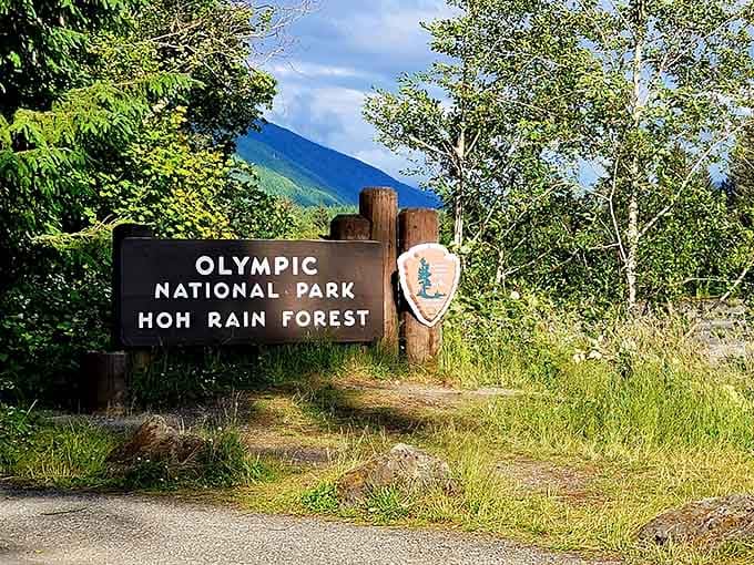 This sign marks the gateway to one of America's most enchanting natural wonders in Olympic National Park.
