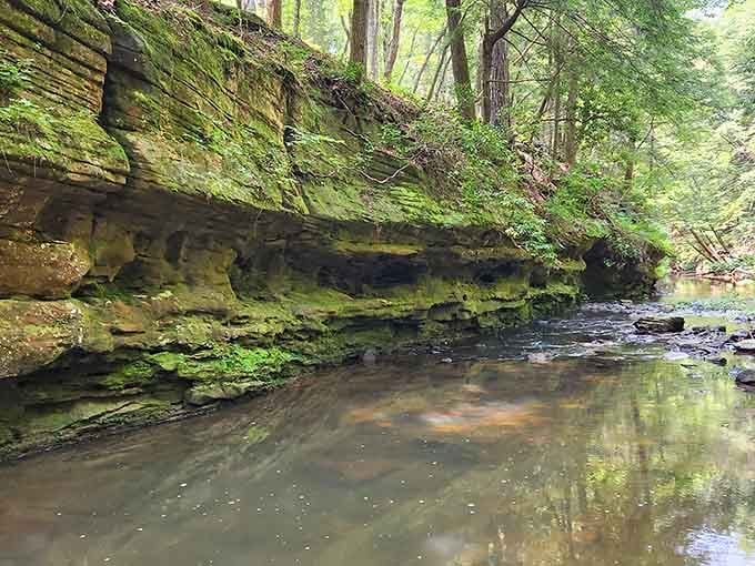 These layered rock walls tell stories millions of years old, like nature's own history book written in stone.