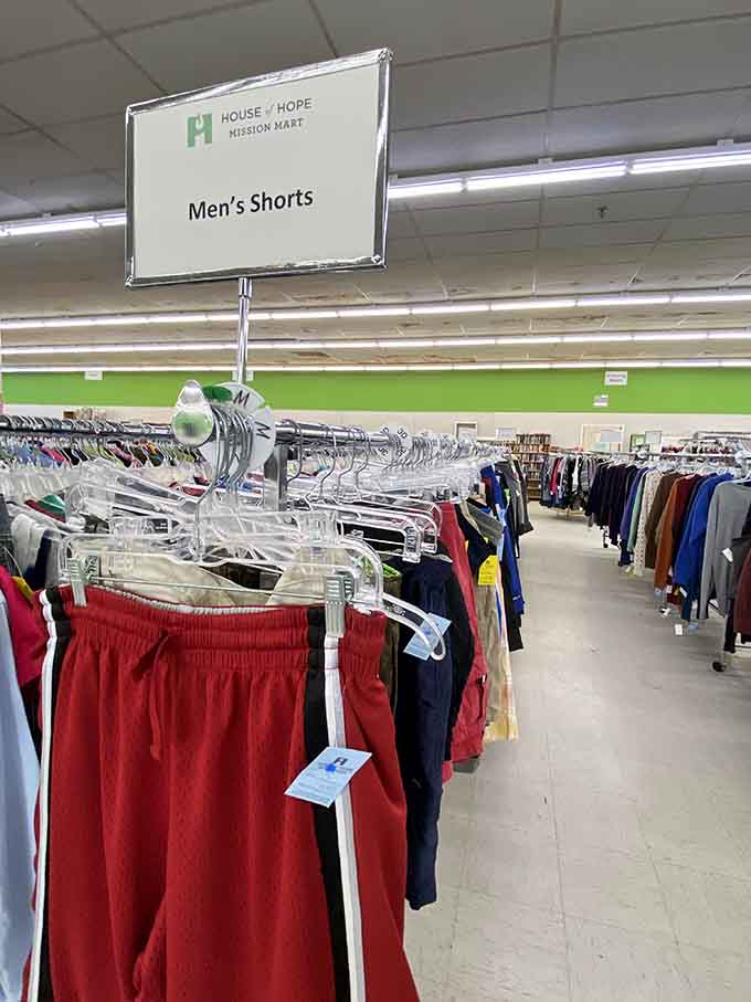The men's shorts section stretches on like a rainbow of summer possibilities and elastic waistbands.