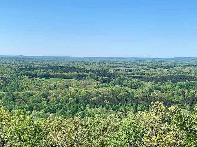 An endless tapestry of green hills unfolds beneath brilliant blue skies, nature's own masterpiece on full display.