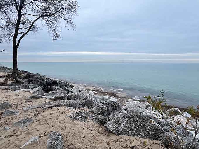 When the shoreline looks this serene, even your stress takes a permanent vacation without asking permission first.