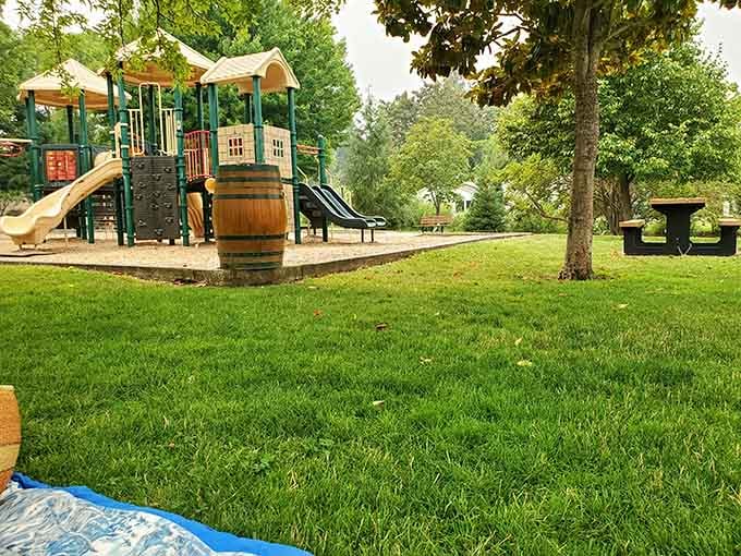 Doc Griffin Park proves the best playgrounds don't need fancy admission fees, just grass and good vibes.