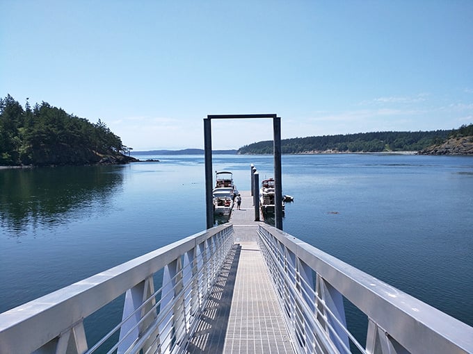 This dock leads to adventures that don't require a single password or two-factor authentication.