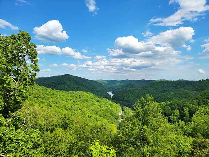 Views like this remind you why Kentucky's nickname should include "ridiculously photogenic" somewhere in there.