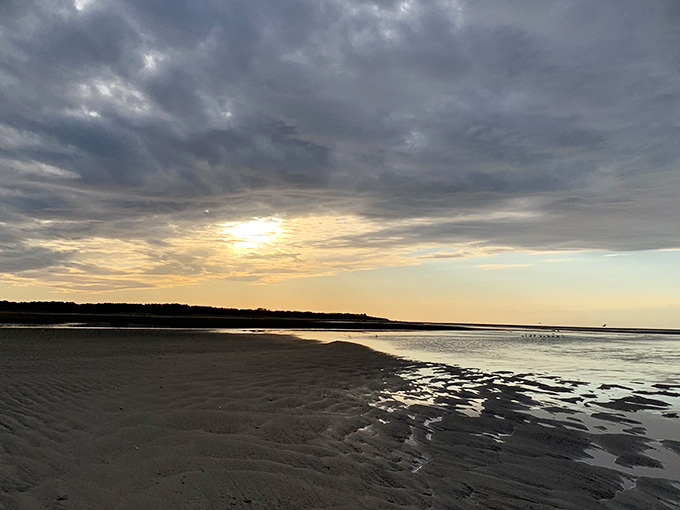 Sunset paints the tidal flats in gold, making even mudflats look like fine art.