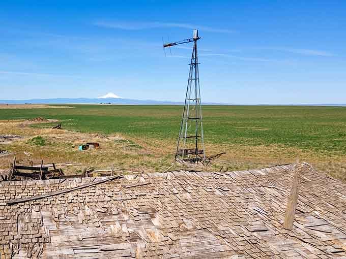 That windmill's been spinning in the desert wind longer than most of us have been complaining about gas prices.