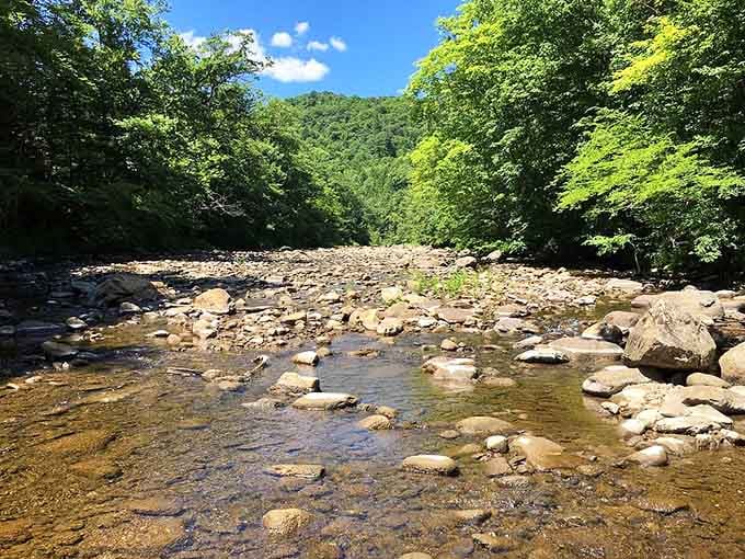 The Westfield River in its summer mood: calm, clear, and absolutely perfect for contemplative staring.