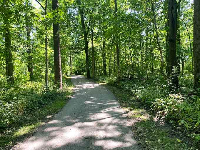 Nature trails wind through Kokomo's parks, offering peaceful escapes just minutes from downtown's bustling energy.