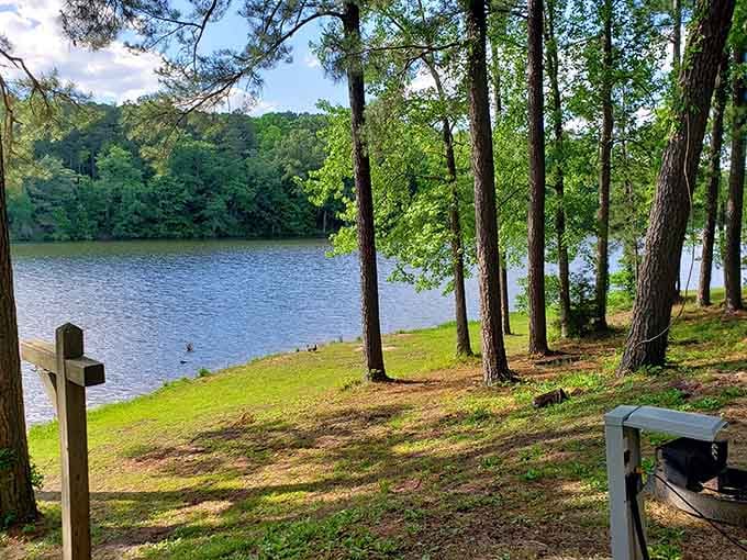 Lakeside camping spots where the morning view makes you question why hotels were ever invented in the first place.
