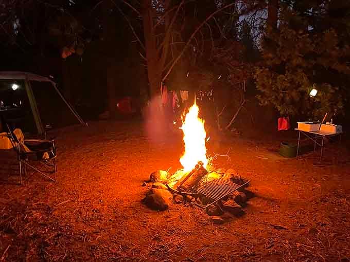 Nothing says "vacation mode activated" quite like a campfire crackling under towering pines as darkness settles in.