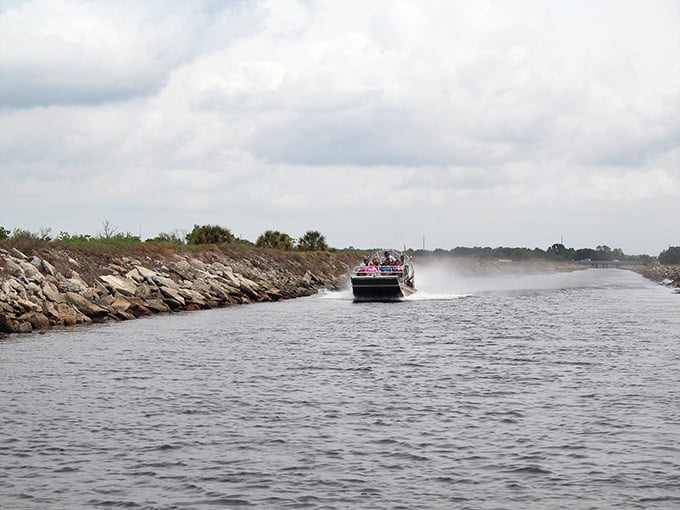 Nothing says "Florida adventure" quite like an airboat skimming across the water at speeds that make your hair regret everything.