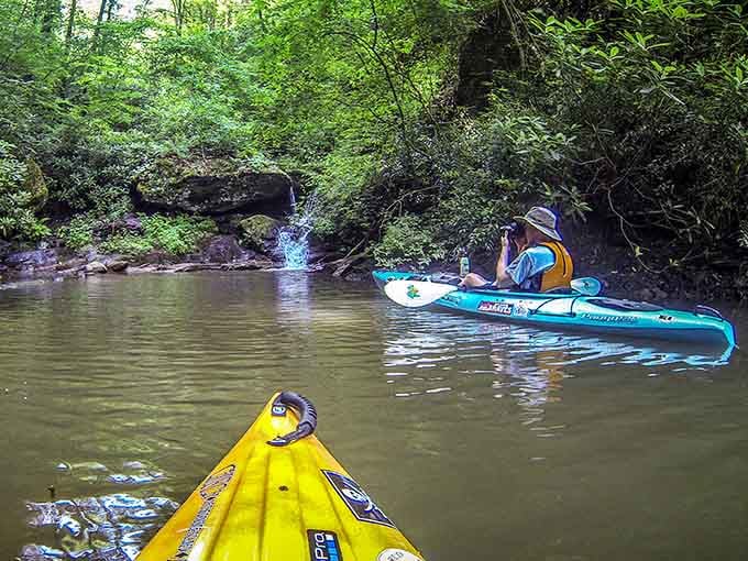 Following a fellow paddler through shaded coves feels like joining a very exclusive, very peaceful water-based meditation club.
