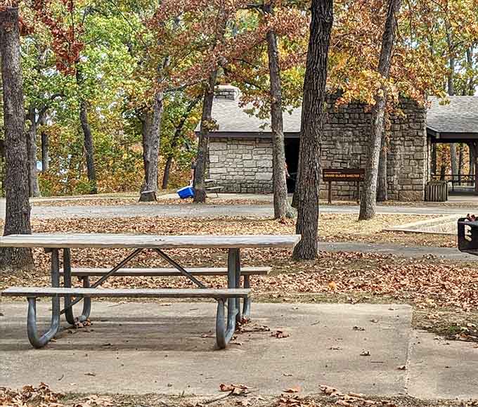 The picnic table that's hosted countless family meals, minus the awkward holiday dinner conversations and debates.