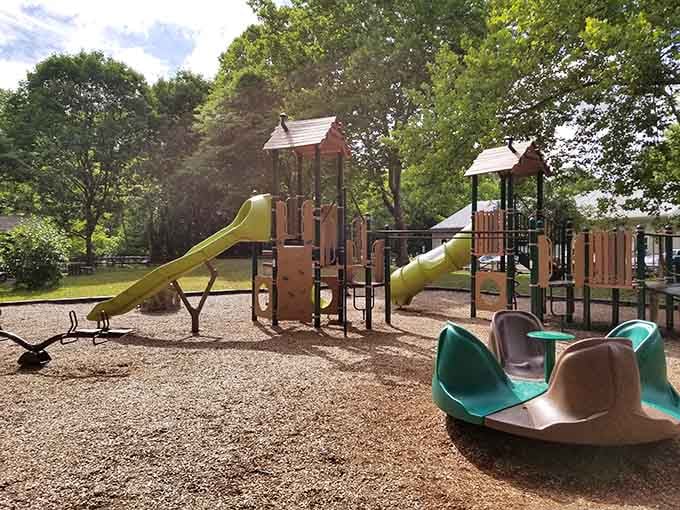 A proper playground where kids can actually climb things without seventeen warning labels? What a refreshing throwback to sanity.