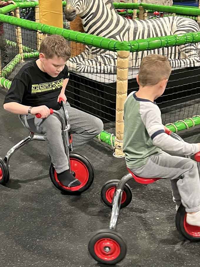 Racing zebras on tricycles might be the most Colorado thing that's also completely not Colorado at all.