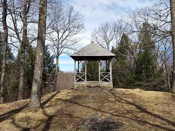 Kennedy Park provides the perfect spot for picnics, people-watching, and pretending you live here full-time.