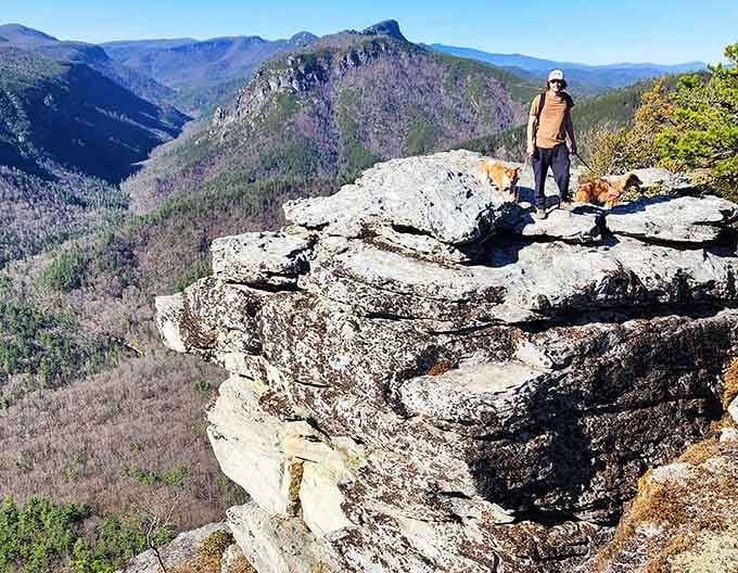 Even the pups know this view is worth the hike, standing proud on ancient rocks overlooking endless wilderness.