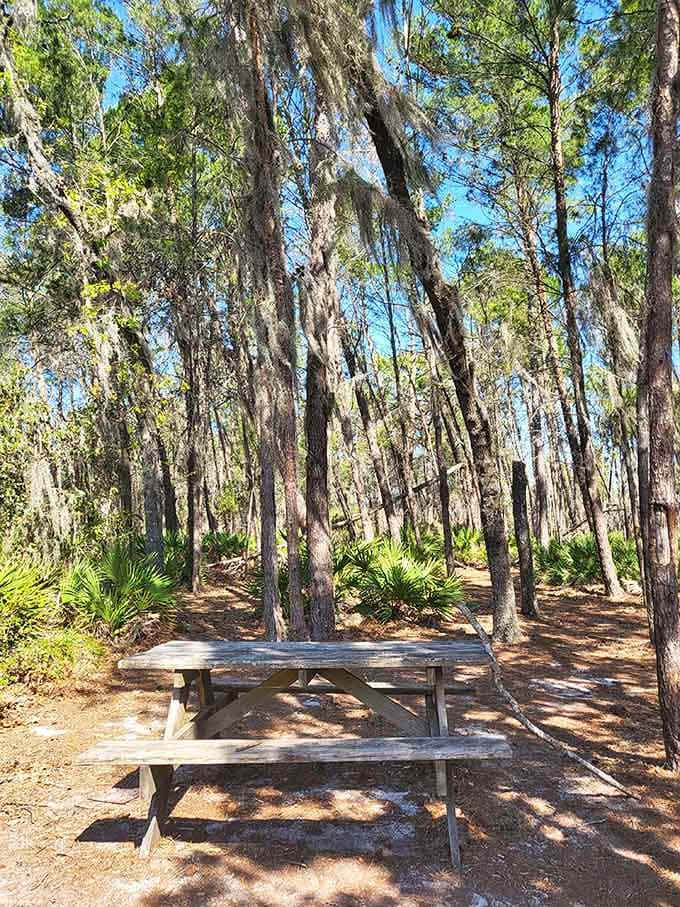Your office cubicle could never compete with this corner workspace under towering pines and Spanish moss.