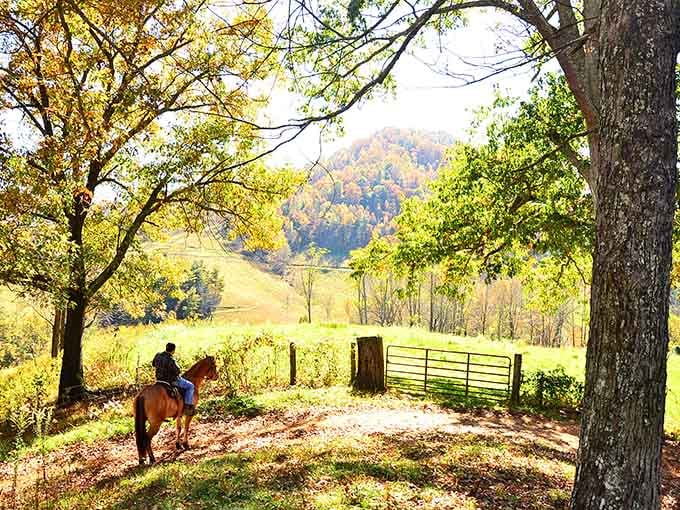 Autumn colors frame a lone rider in a scene so picturesque it belongs on a postcard or calendar.