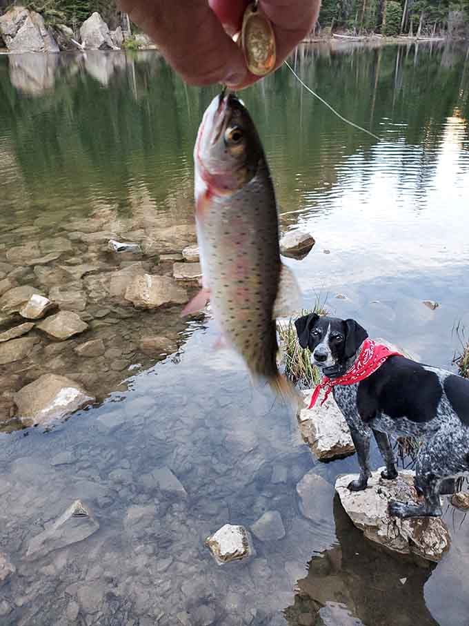 That's what we call a successful fishing trip, folks. The dog seems pretty impressed too, honestly.