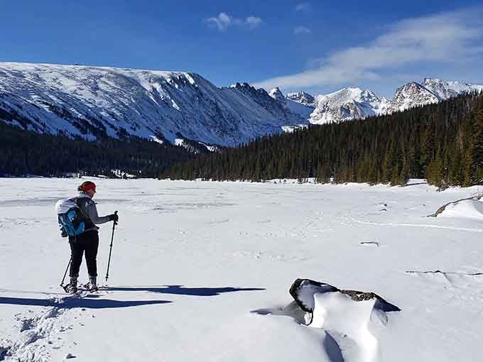 Winter transforms this trail into a frozen wonderland where even your dog becomes an arctic explorer.