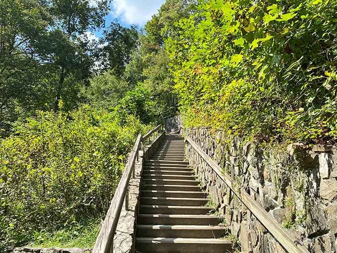 These stairs lead to the upper viewing area, proving sometimes the best things require minimal effort.