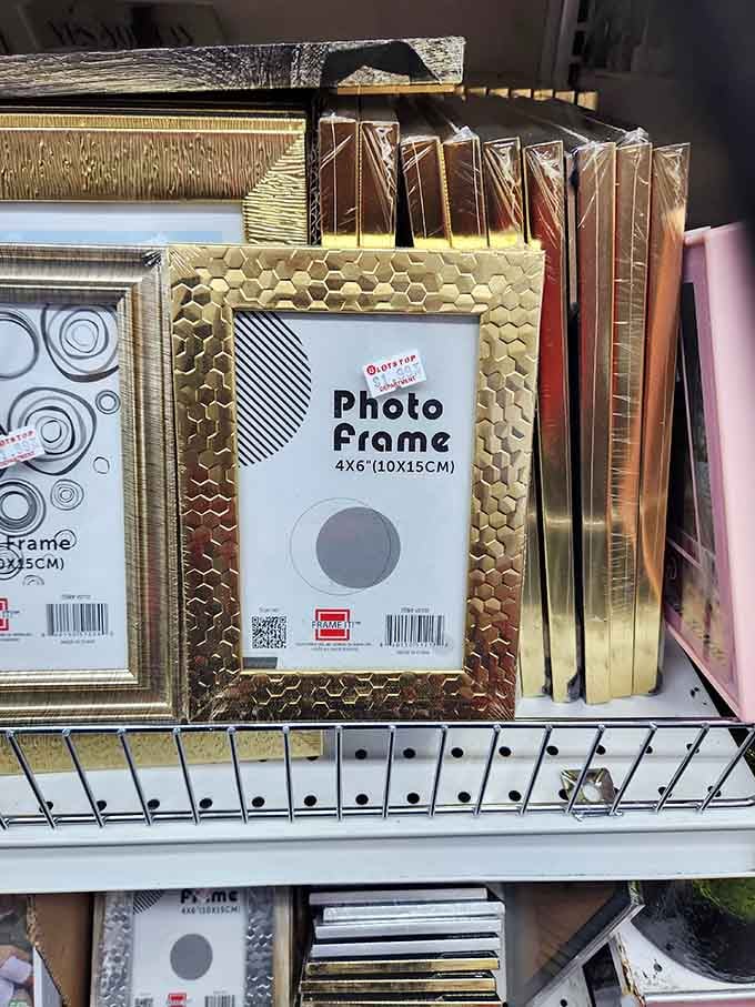 Frame your memories in style without spending a fortune, because good design shouldn't demand your entire paycheck.