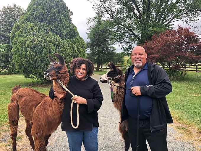 Nothing says "Virginia vacation" quite like posing with your new llama friends for the perfect photo.