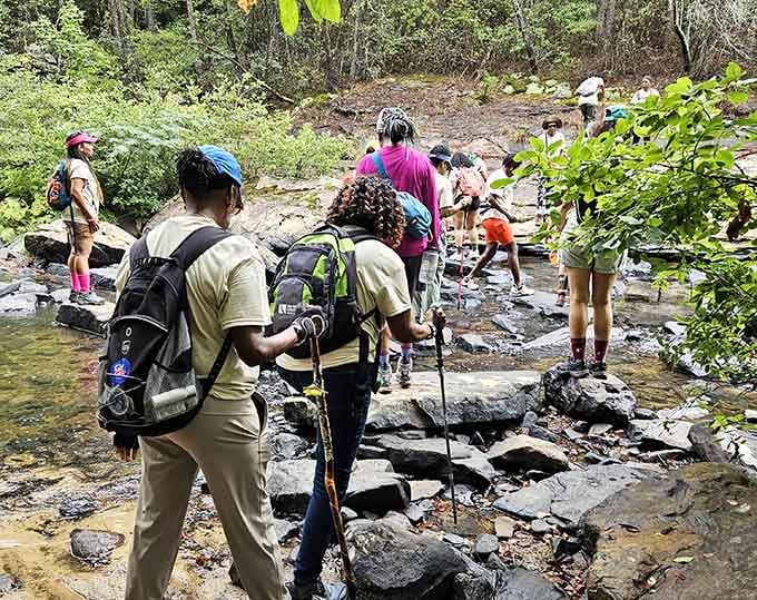 Rock-hopping across the creek is like nature's own obstacle course, minus the participation trophy at the end.