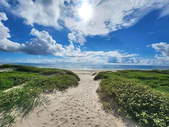 Every great beach adventure starts with a sandy path that whispers promises of salt air and relaxation ahead.