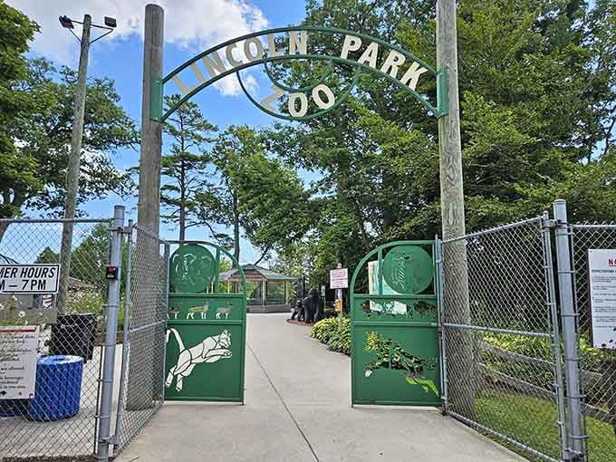 Lincoln Park Zoo's welcoming gates promise animal encounters that won't empty your wallet in the process.