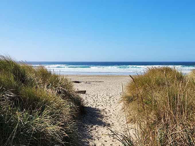 That moment when the path opens up and you remember why you fell in love with Oregon.