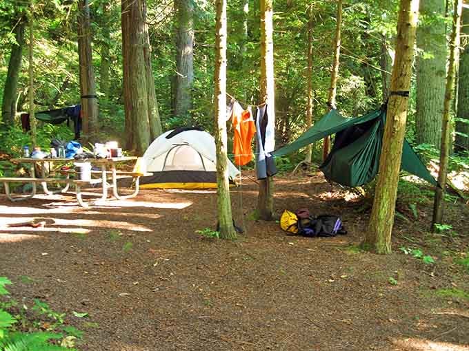 Your campsite comes with towering trees and absolute silence. No WiFi, no problem, no kidding.