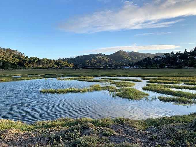 This tranquil marsh scene is what your blood pressure looks like after spending just one afternoon in Mill Valley.