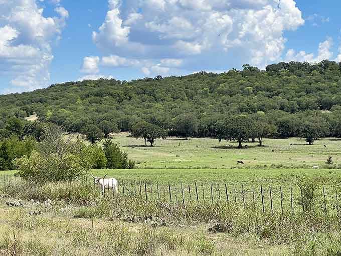 Mineral Wells Fossil Park offers hiking that'll challenge your legs without destroying your weekend plans or your knees.