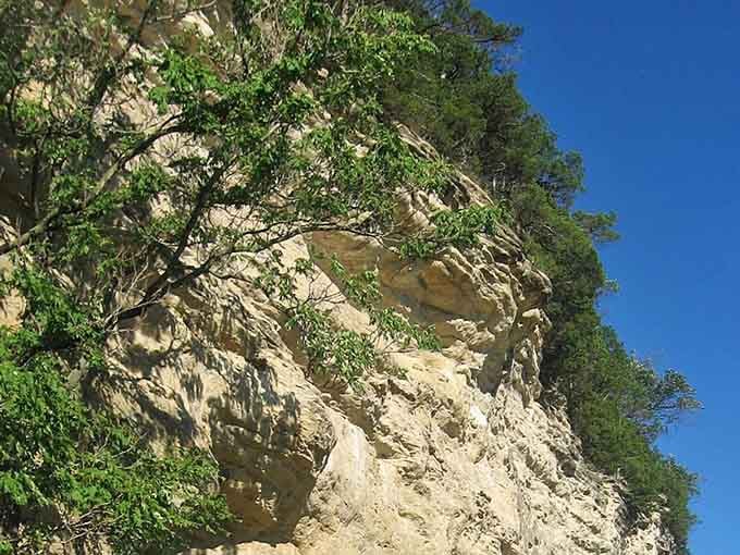 Trees clinging to ancient rock like they're trying to whisper secrets from millennia past to anyone who'll listen.