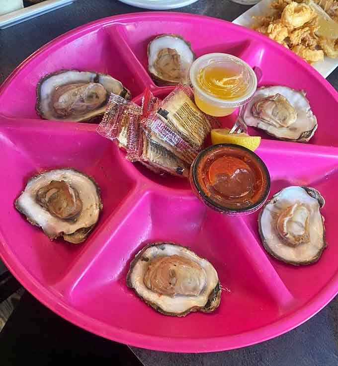 Fresh oysters on a hot pink platter with all the fixings is Florida Gulf Coast dining at its finest.